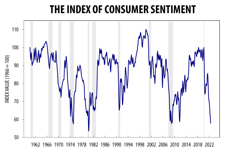 Preliminary June Consumer Sentiment Index Declines 14% from May and ...